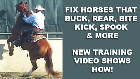 This new horse training course is made up of VIDEO, AUDIO and WRITTEN